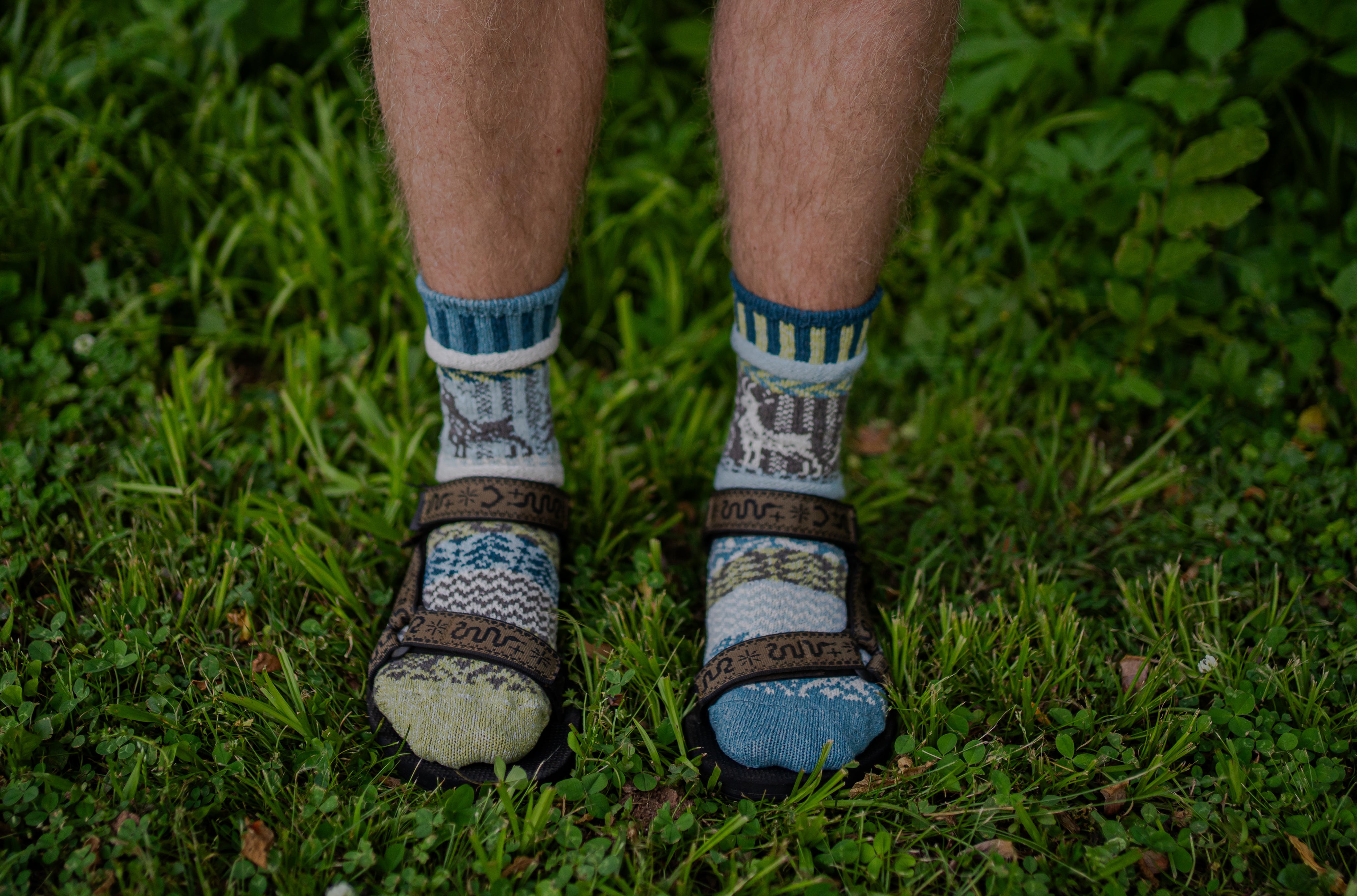 Goat Crew Socks – Solmate Socks